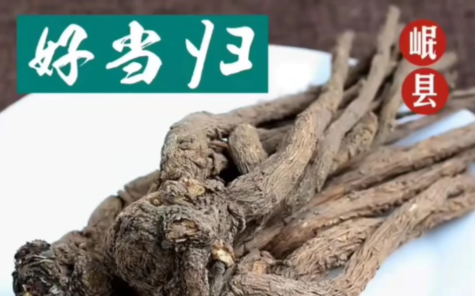 互联网+中药材网络销售