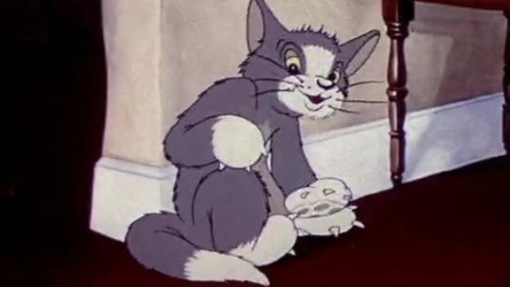 猫和老鼠,当汤姆和杰瑞不再打架,在一起生活还是很幸福的