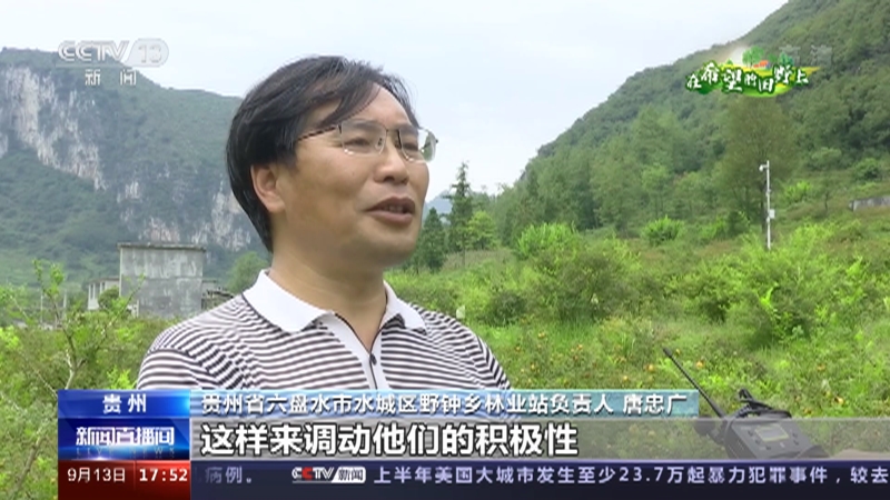 [新闻直播间]贵州六盘水 在希望的田野上 刺梨迎丰收 促乡村振兴