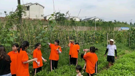 网瘾的孩子会有什么危害?湖南清徳教育专家这样认为:孩子脱离了现实...