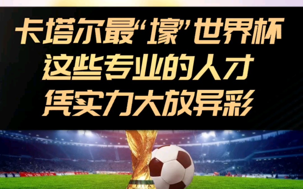 卡塔尔最壕世界杯!这些专业凭实力大放异彩!