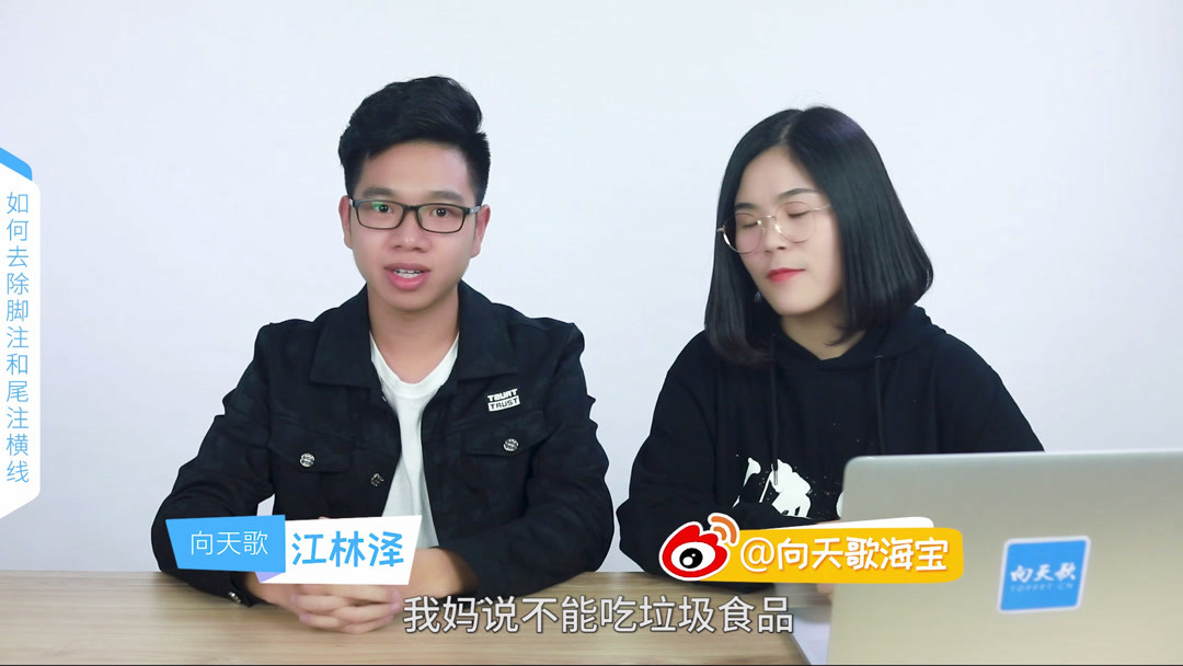 如何去除脚注和尾注横线