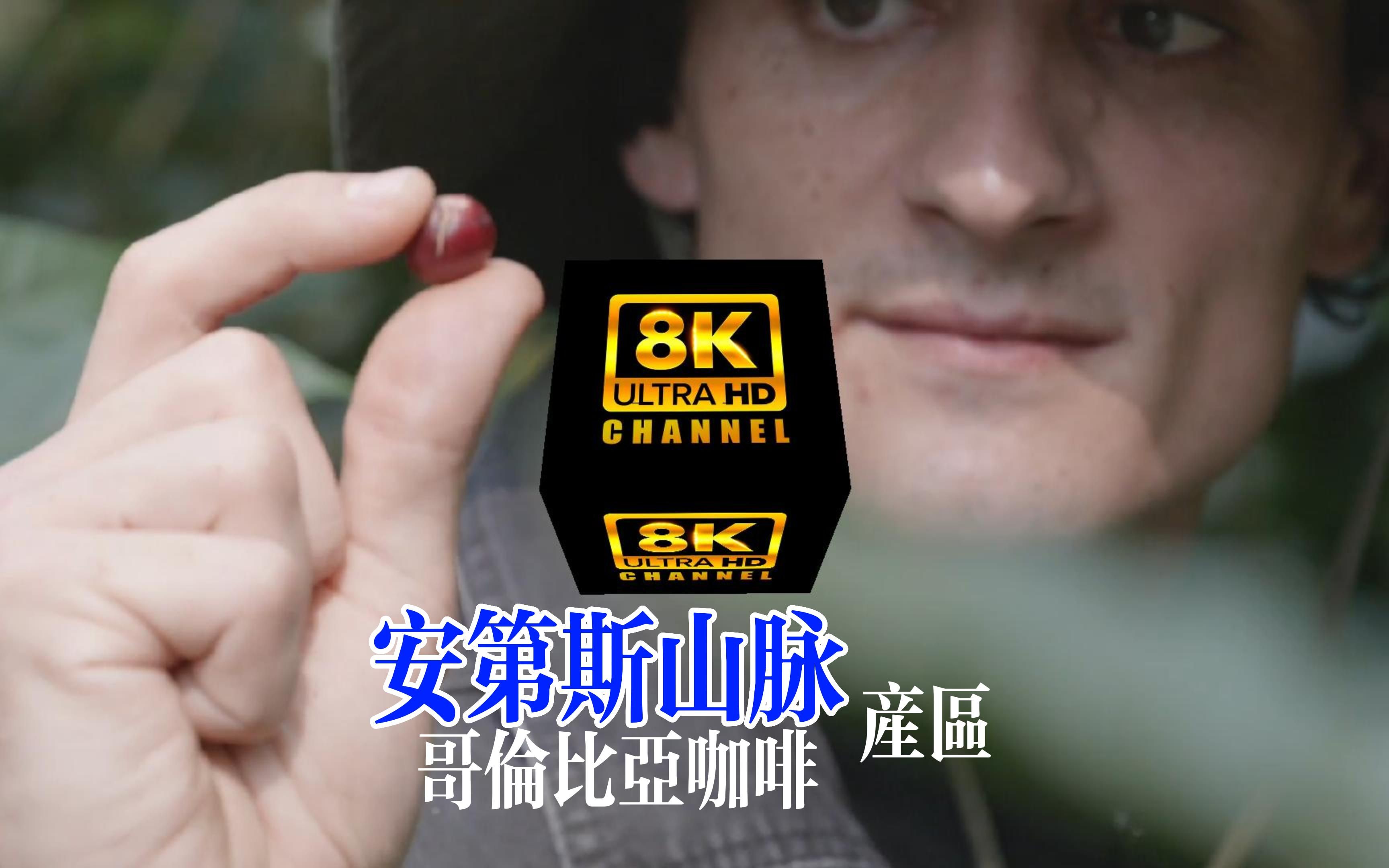 带你到安第斯山脉采咖啡豆 8K超高清_HDR_120帧修复