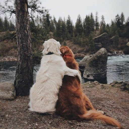 一位长期加班的打工人 