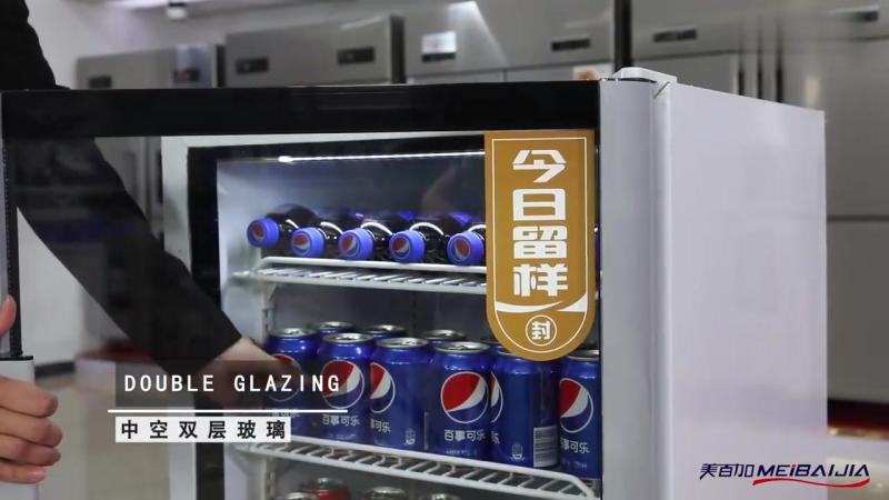 留样陈列柜LSC-165L