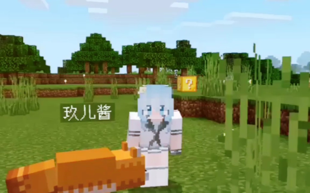 【我的世界】地下隐藏门制作过程(1)