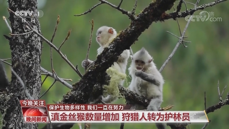 [视频]保护生物多样性 我们一直在努力