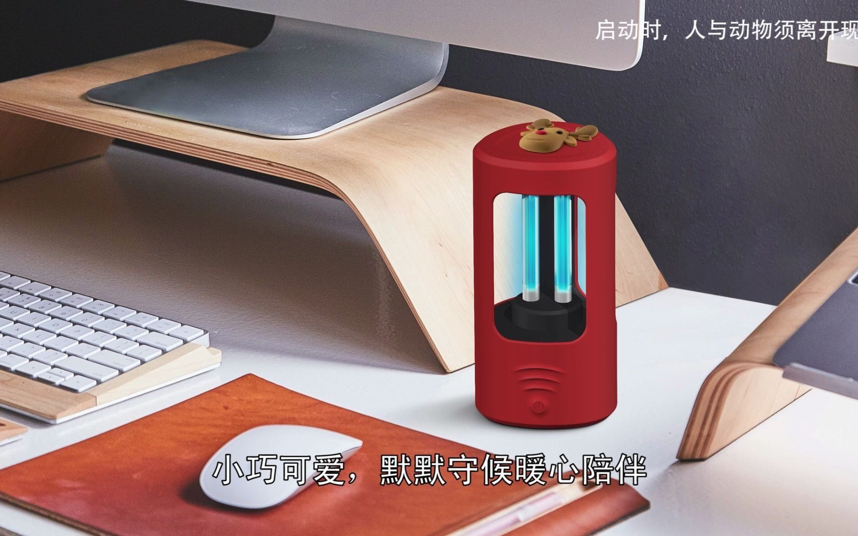 Bone Collection-紫外线臭氧消毒灯