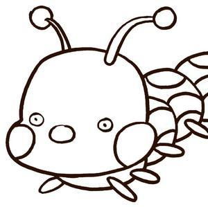 大晨说体育 