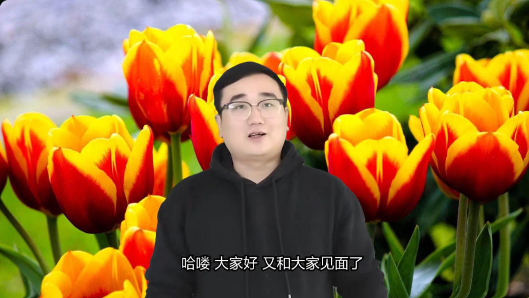 申请商标,中国商标怎么申请,企业如何申请商标