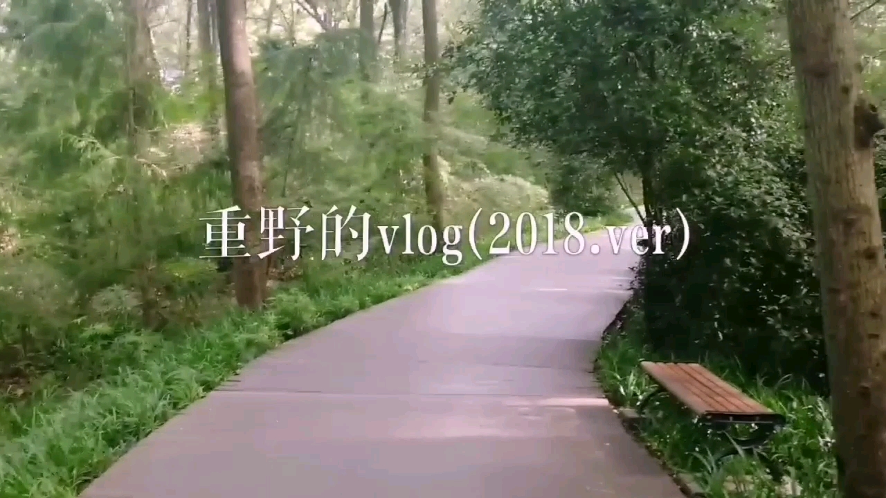 看过的live总结之2018