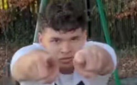 〖自用〗语文默写作业