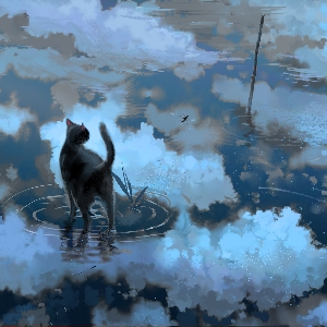 黑猫塔罗X 