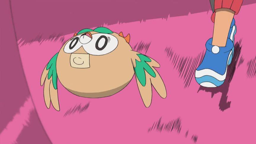 精灵宝可梦:木木枭真萌,大家都在跑步,它在那一弹一弹的