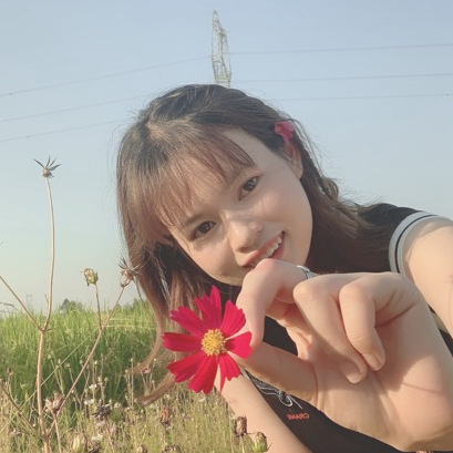 花椰菜伯 
