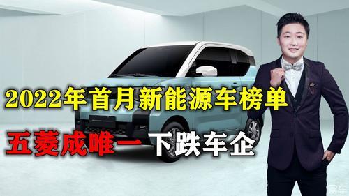 2022年首月新能源车榜单出炉,五菱成唯一下跌车企!