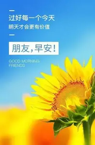 冲冲爱交流 
