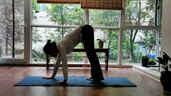 客厅每天10分钟学习动物爬行 灵活脊柱