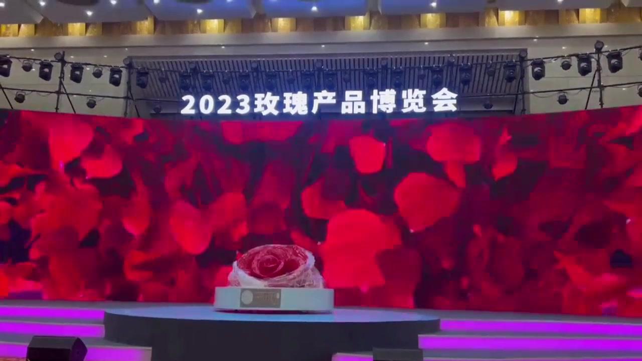 平阴县人民政府承办的2023年玫瑰产品博览会开幕!#遇见花开我在玫瑰...