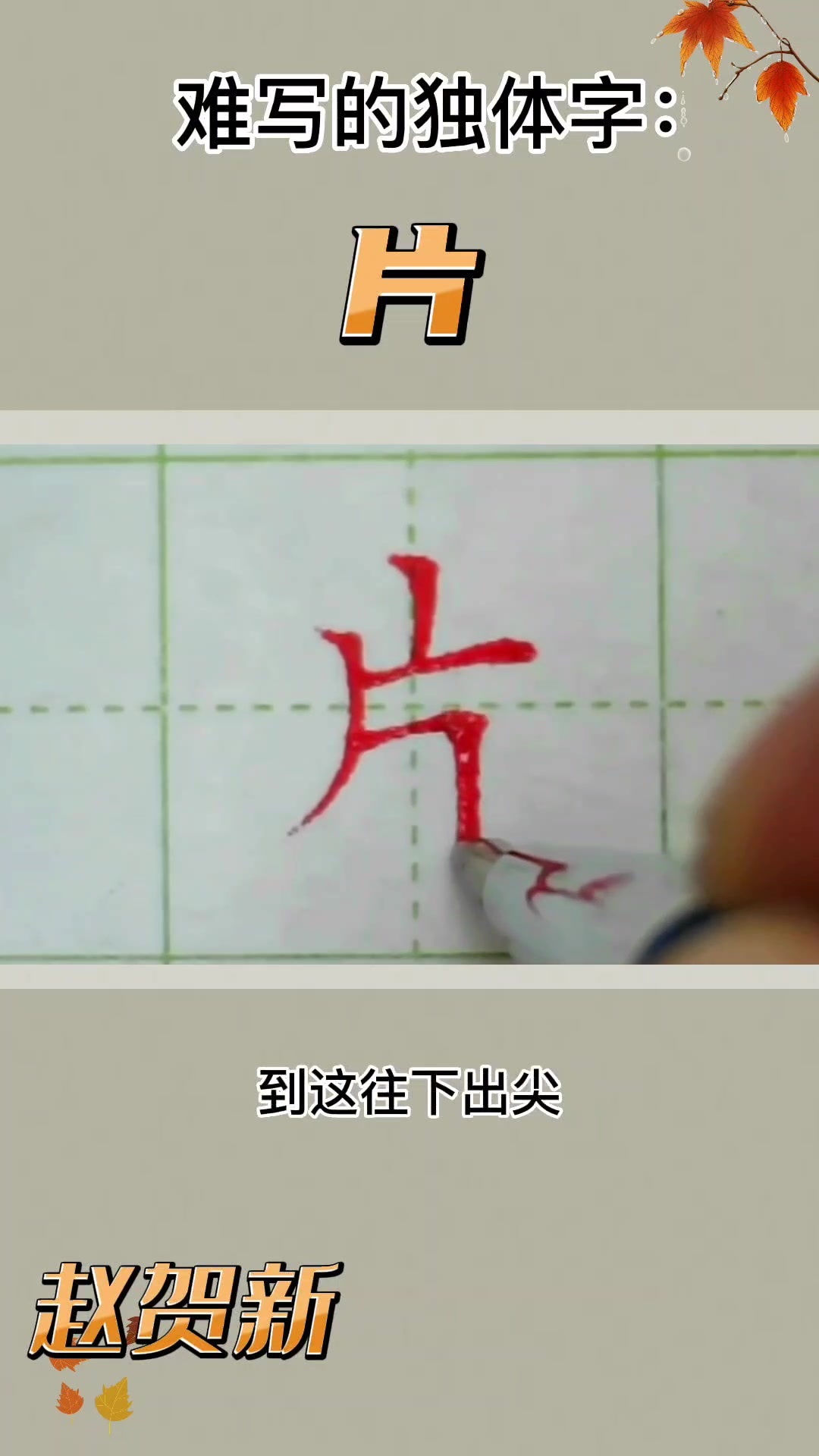难写的独体字:片#中性笔练字 #硬笔书法 #楷书 #书法 #楷书练习 @...