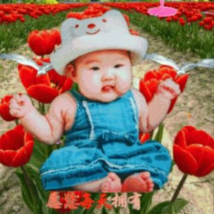 想想彤彤 