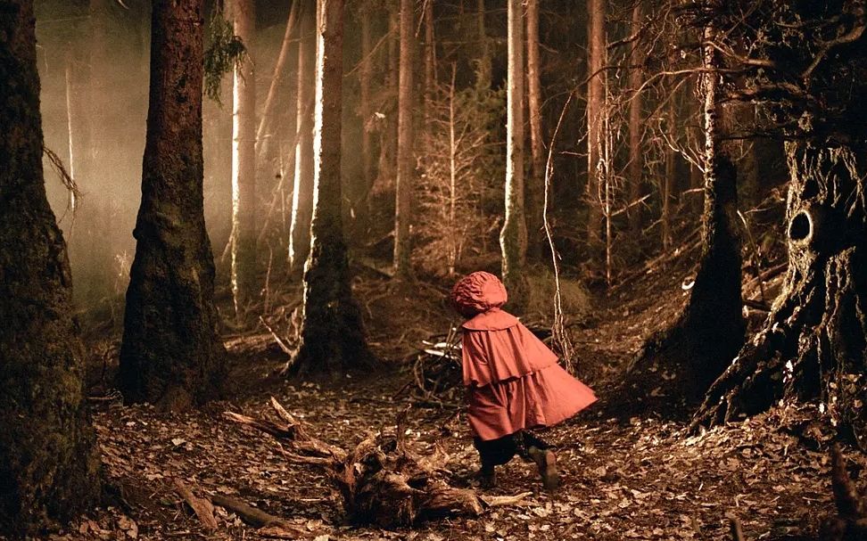 一部充满奇幻色彩的另类童话片