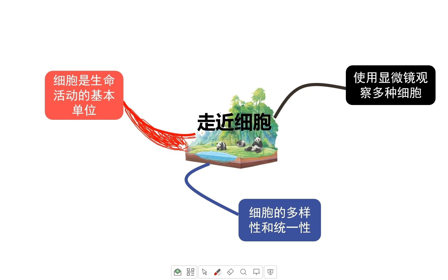 高中生物一轮复习 第1讲 走近细胞 第1节课