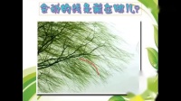 三年级下册第三课会动的线条微课