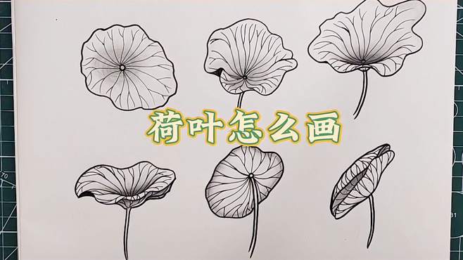 简笔画:一分钟学会,画各种角度的荷花图!