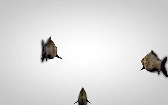 水墨动画制作