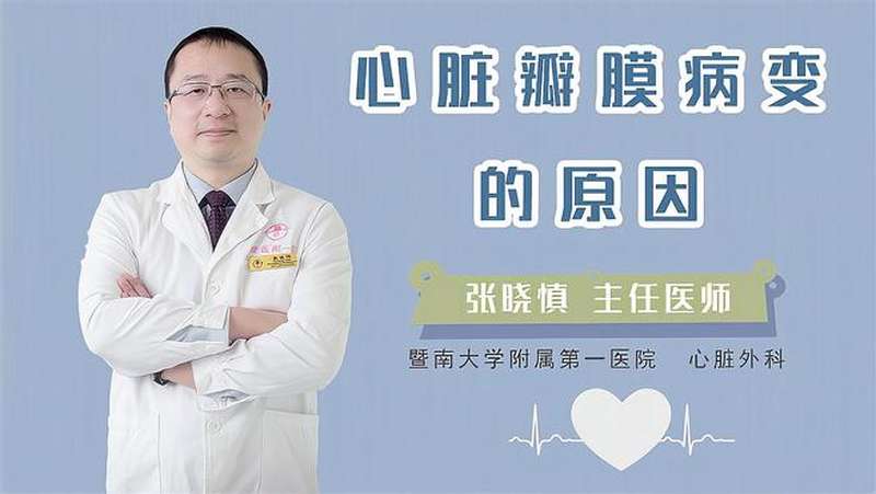 心脏瓣膜病变的原因