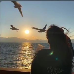 喜欢吃黄瓜的小黄人 