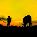 老马讲民间小故事 