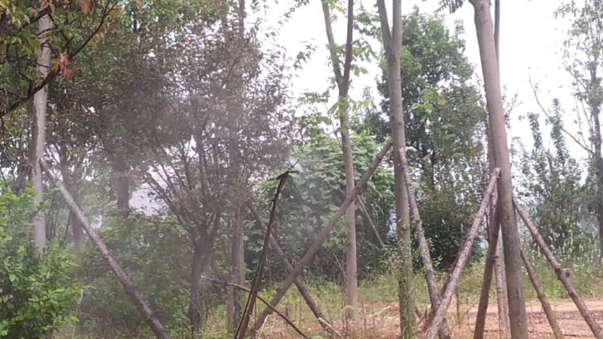 失败的自动喷淋系统