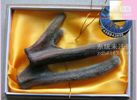 冬虫夏草有什么功效