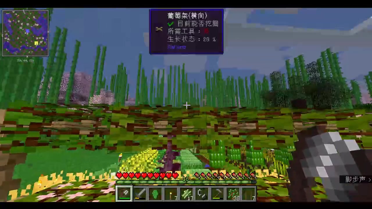 我的世界生存系列第三期--种田单纯的种田