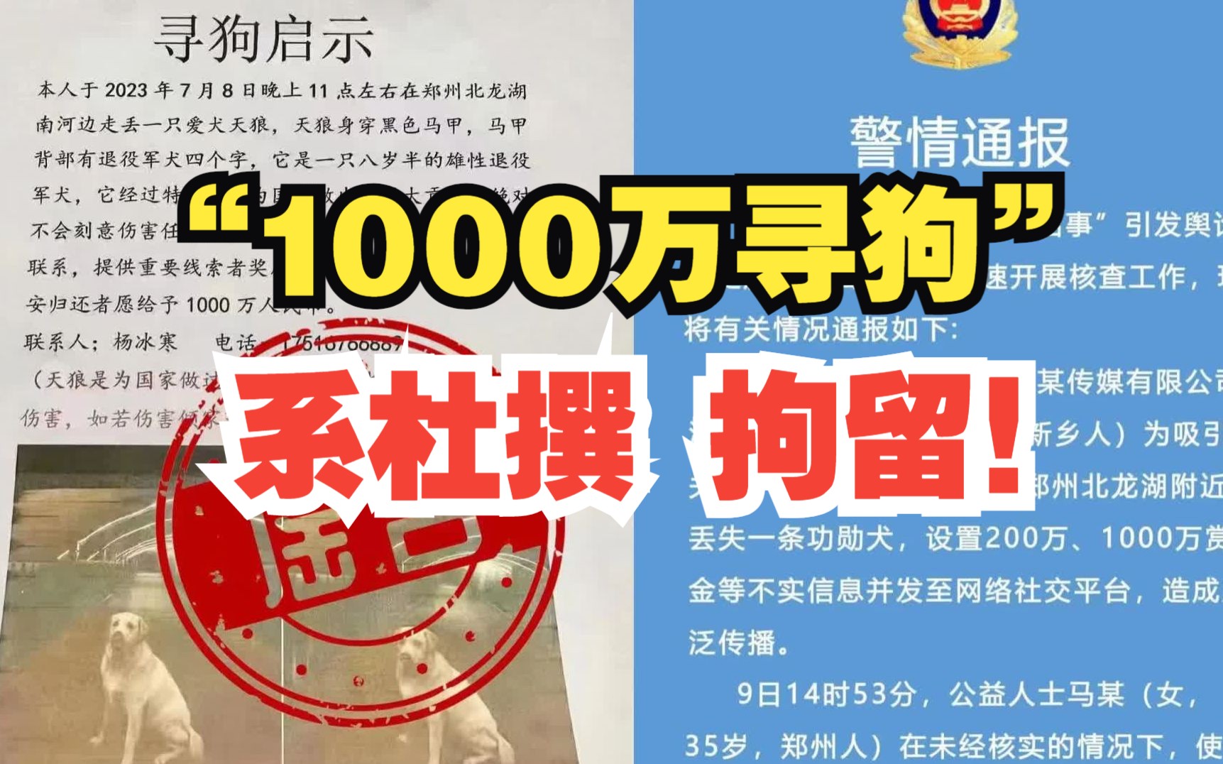 郑州警方通报“悬赏1000万寻狗”:消息系杜撰 发布者已行拘