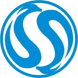 深视智能科技有限公司 