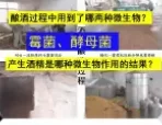七年级_生物_人类对细菌和真菌的利用_2月19日