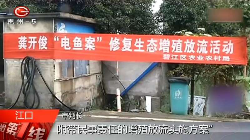 男子非法电鱼,案件公开审理,获刑六个月认错态度良好