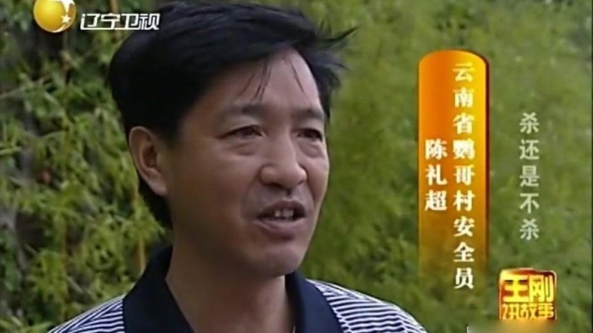 王刚讲故事:一审死刑二审死缓,残忍凶手究竟杀还是不杀