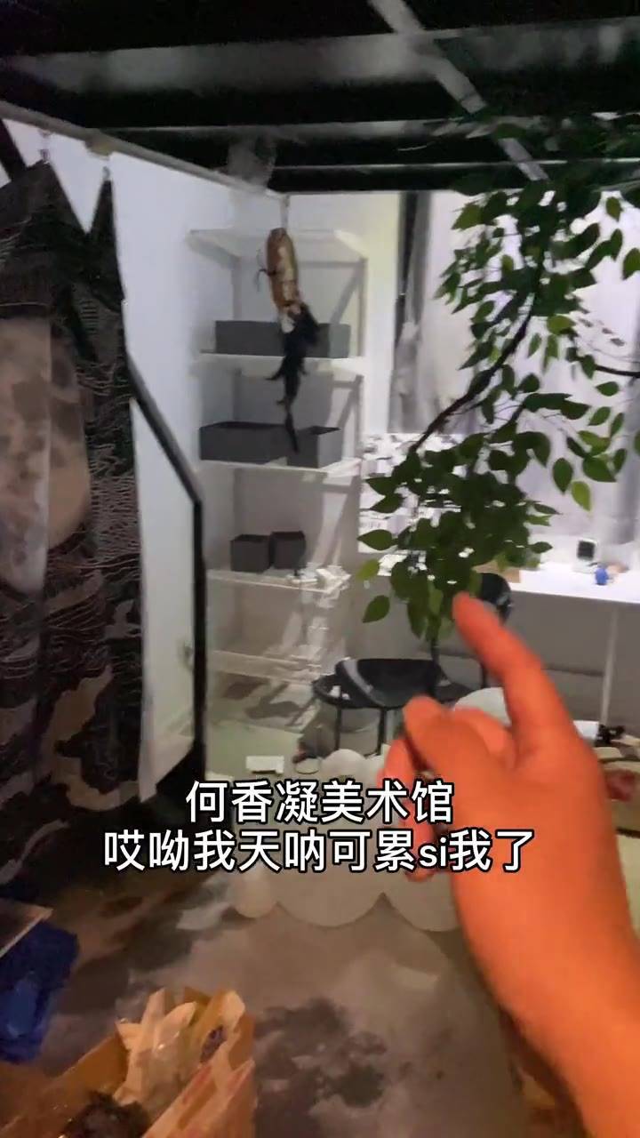 好家伙,深圳实习日记之搬进出租屋的第一天,阿云的实习日记