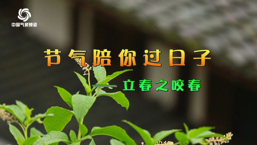 节气陪你过日子——立春之咬春