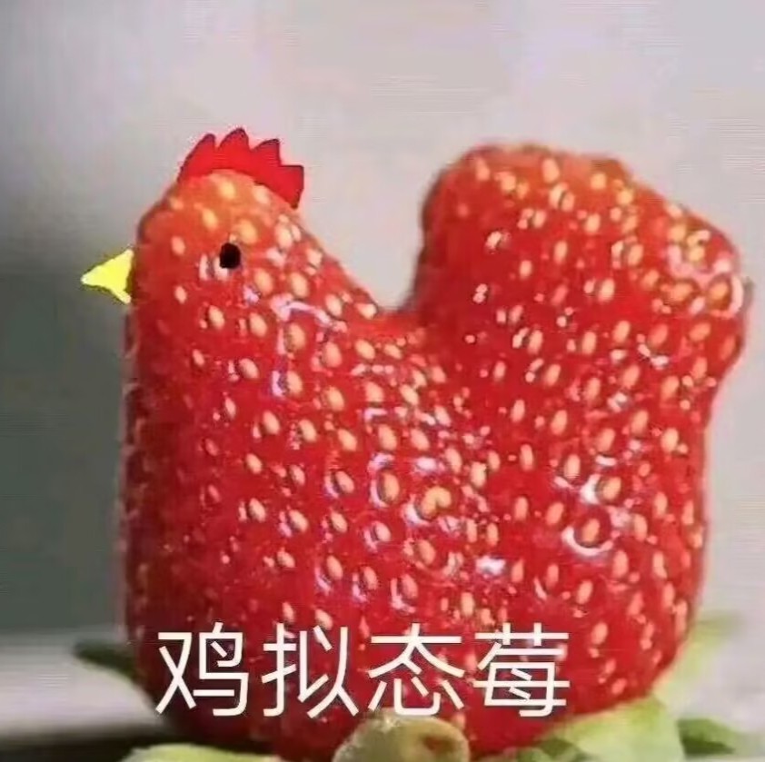 小速溶家 