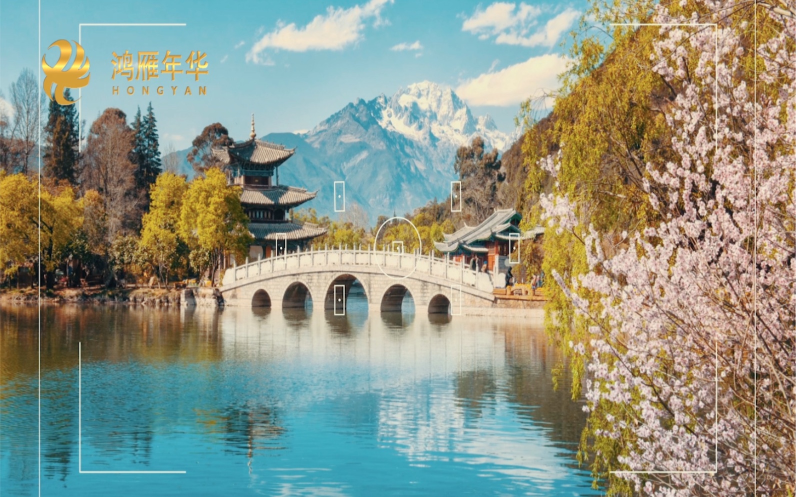 深圳|鸿雁年华全球旅居计划宣传视频案例人生就像一场旅行✈️快乐就...