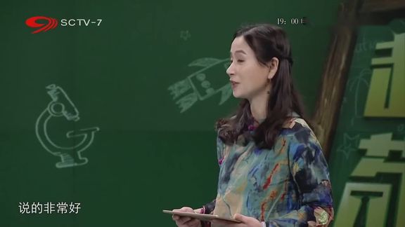 《起立敬礼》芙蓉花线描写生,运用不同的线条来表现