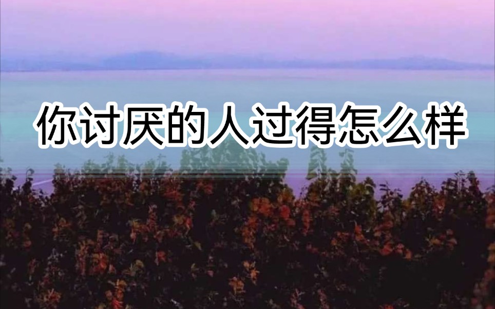 【念念塔罗占卜】你讨厌的那个人,他现在过得好吗?