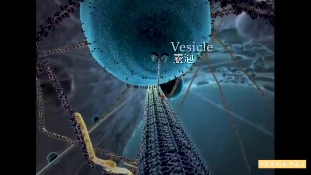 医学3D动画:细胞中的生命进程,用微观的视角观察生命的神奇