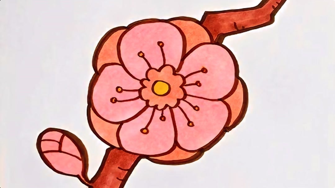 多多学画画 第142集 儿童简笔画 梅花 宝宝画出好品德的美丽花朵