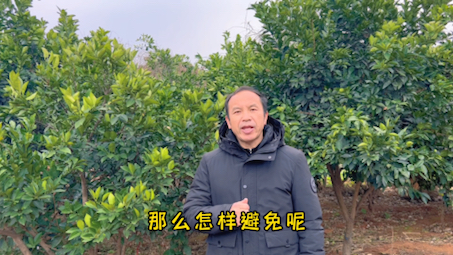 肥料利用率为何这样低?